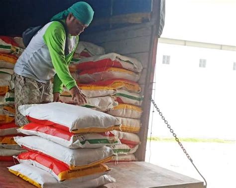 Pt Advanta Seeds Indonesia Pt Nekatama Jaya Kekal