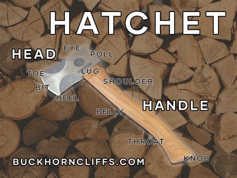 Hatchet Vs Axe Differences Recommendations History Anatomy