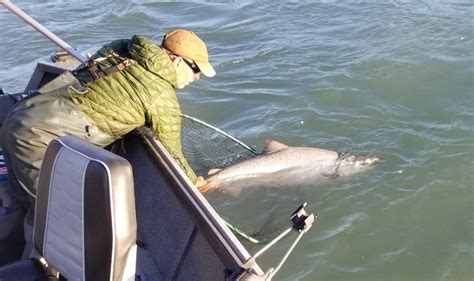 Kenai River Fishing Report Jim Rusk Fishing Guide Alaska