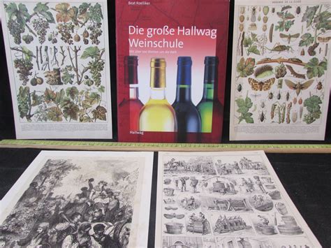 Weinbau Herbst Kaufen Auf Ricardo