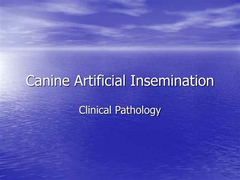 Ppt Canine Artificial Insemination Powerpoint Presentation Free