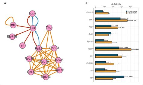Functional Validation Of Candidate Genes A Gene Network Depicting Download Scientific