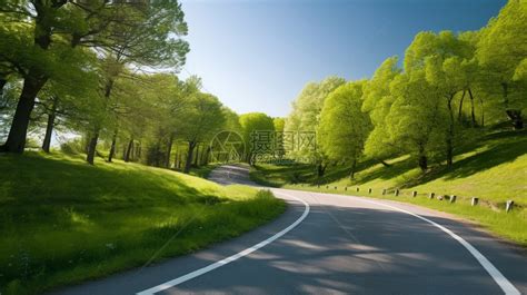 绿色森林的弯曲道路高清图片下载 正版图片600141539 摄图网