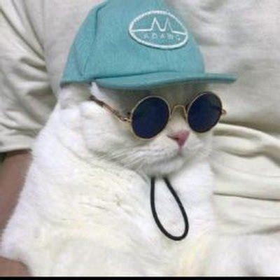 高乔尤美Mia on Twitter 臀部倒模開始預售啦 尤美在群裡等你們 https t co H7IyviXr0j