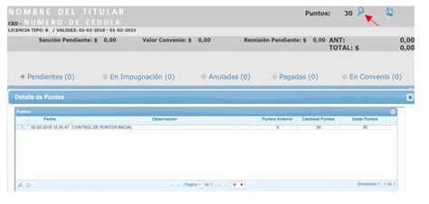 ≫ Recupera Los Puntos De La Licencia De Conducir 2025