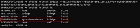 Create A Custom Network In Docker For Communication Between Containers