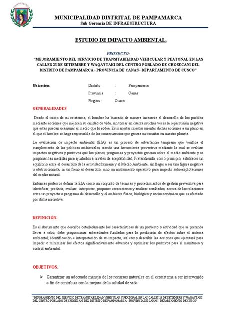 Formato 24 Informe De Estudio Ambiental Pdf Evaluación De Impacto