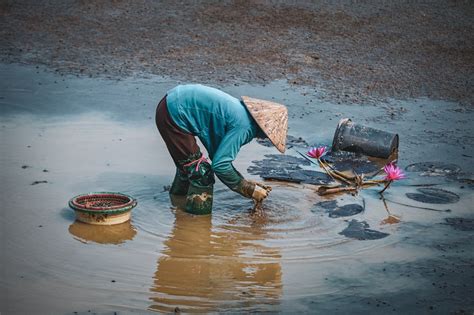진흙탕 밭에서 일하는 전통 농부 · 무료 스톡 사진