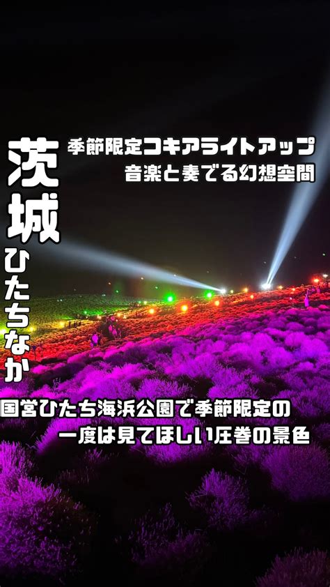 茨城グルメグルメ•観光•イベント 【季節限定コキアライトアップ見に行った 】 国営ひたち海浜公園で開催される期間限定イベント『コキ