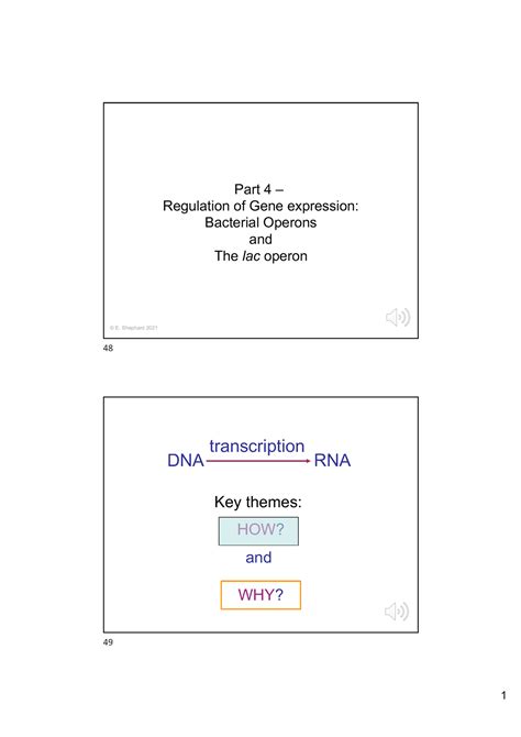 Week2 Lectures 7 And 8 Parts 4 5 Gene Regulation Lac Operon Part 4 3