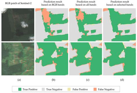 Remote Sensing Free Full Text A Learning Strategy For Amazon Deforestation Estimations Using