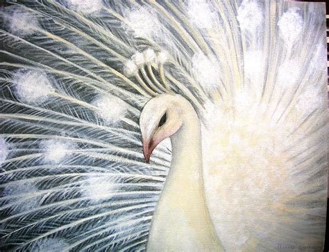 White Peacock Paintings