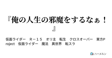『俺の人生の邪魔をするなぁ！』 ハーメルン