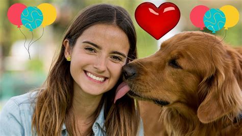 10 Reasons Why Dogs Make The Best Pets Youtube