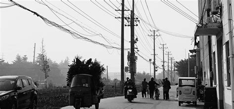 Whats The Difference Between Merino Wool And Regular Wool