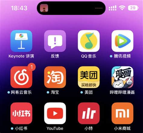 Iphone Iphone Pro Bug