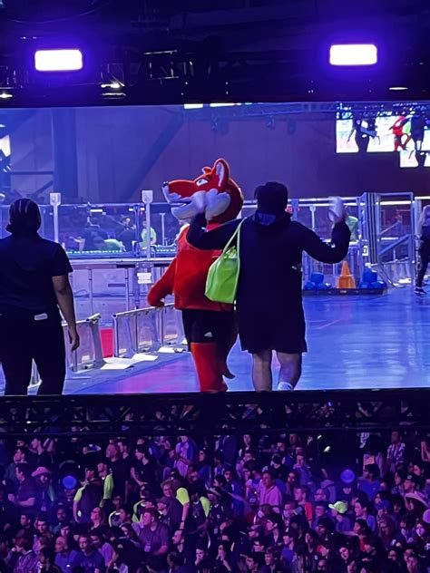 Dollar Tree Taylor Swift R Frc