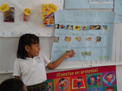 NIÑOS COMPETENTES 1 EXPOSICIÓN DE TEMAS EMPLEANDO CARTELES DE APOYO