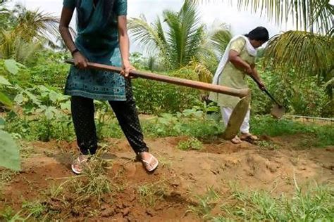 Keralas Resurgence In Agriculture Is Being Cultivated By Women
