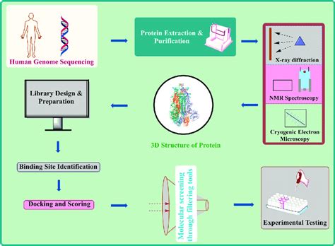 Workflow Of Structure Based Drug Design Sbdd In The Drug Discovery