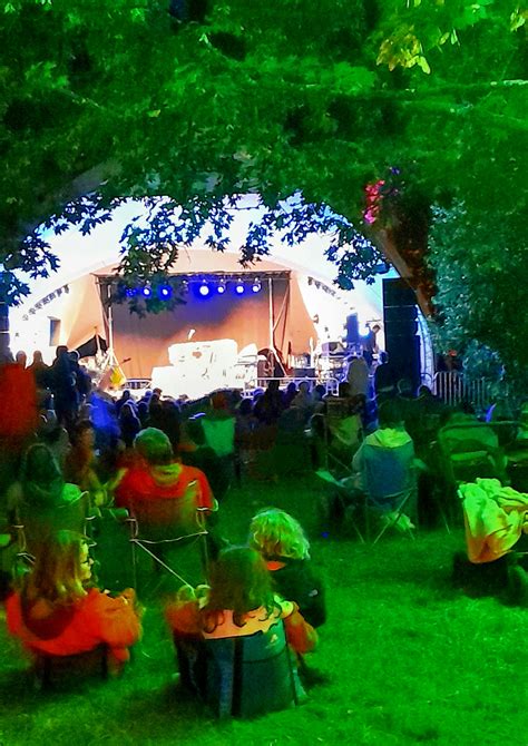 Vintage Vixen Womad 2023