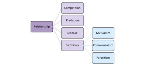 Module 4 Ecosystem Dynamics Year 11 Biology Guides