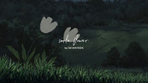 Seventeen Smile Flower Eng Lyrics Youtube