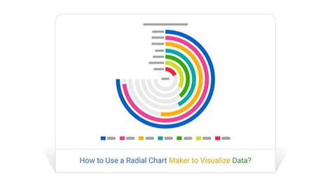 How To Use A Radial Chart Maker To Visualize Data