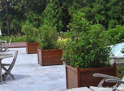 Tipos De Vasos Para Plantas Ornamentais Flores E Folhagens Vasos Para Plantas Plantas
