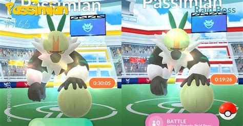 Passimian Raid Boss Pokemon Go