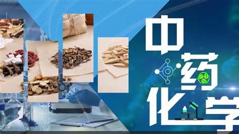 中药化学（2024秋）