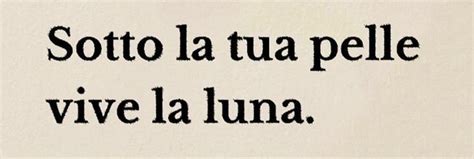 Pin De ༒︎ Ꮣɸʀʝ 🦂 Em ₣Ʀ₳Տi Ɇ ₵iƬ₳ziØ₦i Frases Inspiracionais Citações
