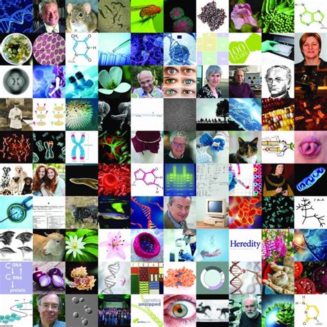 Beneficial Mutations In Humans