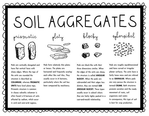 Soil Aggregates In Agriculture
