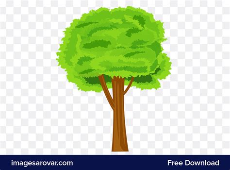 Tree Png Images Image Sarovar Free Vectors Illustrations And Psd