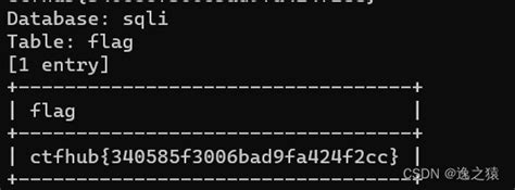 Ctfhubsql注入（sqlmap）refer注入需要几级 Csdn博客