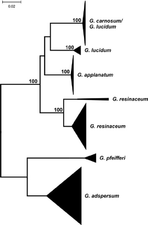 Figure 1 From How Different Molecular Markers Estimate The Diversity Of European Species Of The