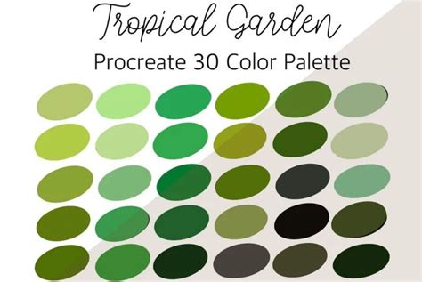 Tropical Garden Procreate Color Palette Brush Galaxy