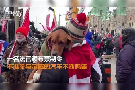 加拿大反对强制接种疫苗示威持续 法官颁令禁汽车不断鸣笛示威接种疫苗