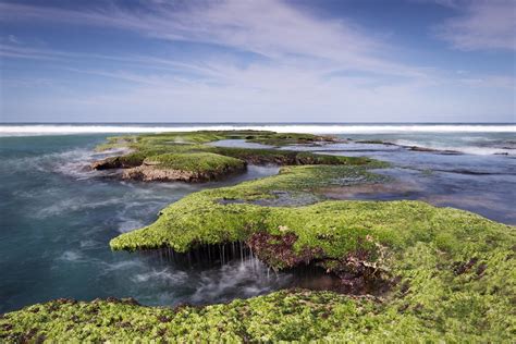 Mornington Peninsula Greens