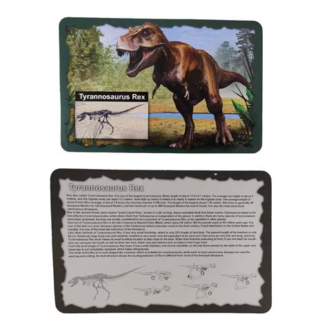 قیمت و خرید اکشن فیگور مدل کیت دیرینه شناسی دایناسور طرح تیرانوسوروس