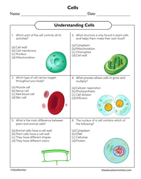 Understanding Cells Science Worksheet Edumonitor Science Math