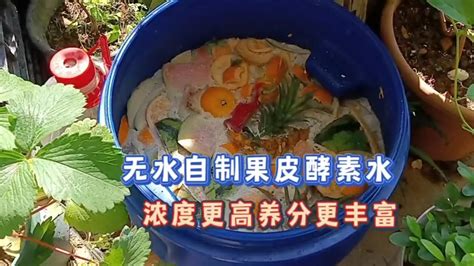 無水發酵果皮酵素水，腐熟更快，營養更濃縮豐富！ Youtube