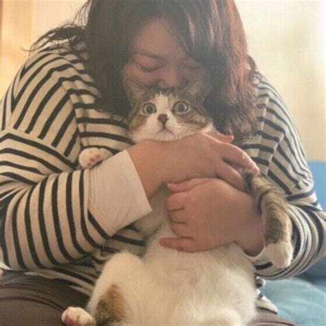 猫飼いなら経験のある「猫吸い」 されてる側の猫はどんな気持ちか獣医師に聞いた｜ねこのきもちweb Magazine