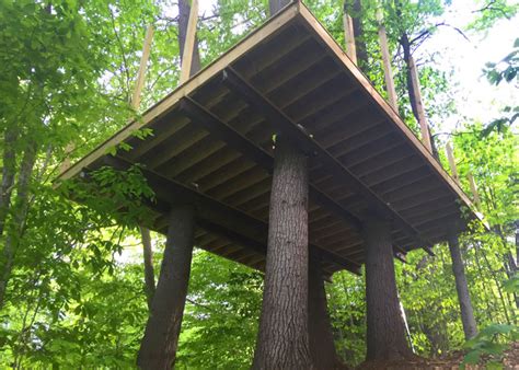 Simple Treehouse Platform