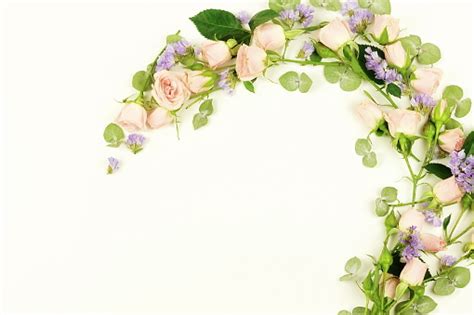 꽃 배경입니다 분홍색과 보라색 꽃과 흰색 배경에 유 칼 리 나무 가지로 만든 화 환 프레임 플랫이 하다 최고의 볼 수 있습니다