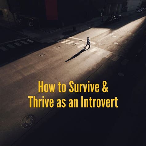 Amazon Com How To Survive And Thrive As An Introvert EBook Bourne Tom Kindle Store