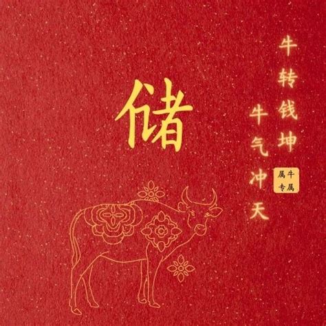 清新美女高清手机壁纸图片最新款2024版 配图网