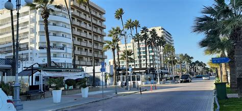 Αρχίζει πρόγραμμα κλαδέματος φοινικόδεντρων στη Λάρνακα Cy