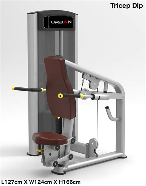 Machine Dips Muscu At George Buttenshaw Blog